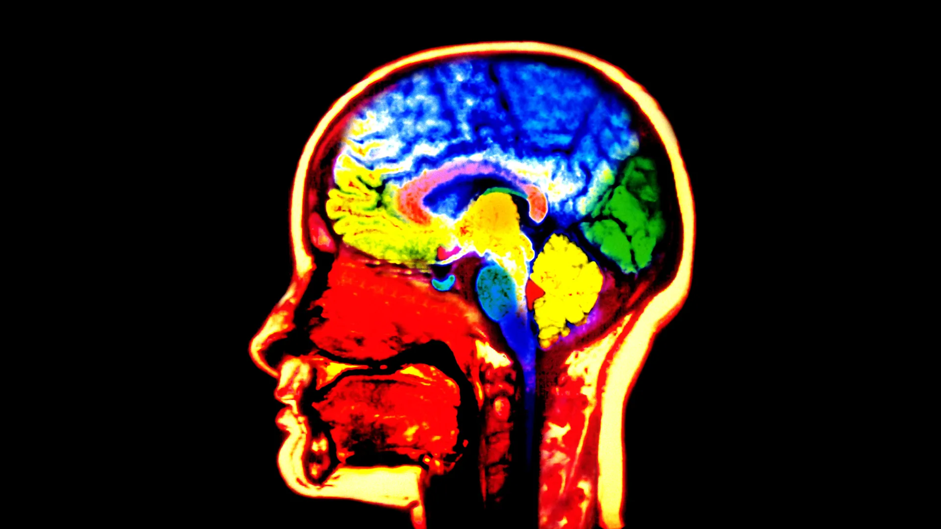 7 Surprising Facts About Creativity, According To Science - Fast Company