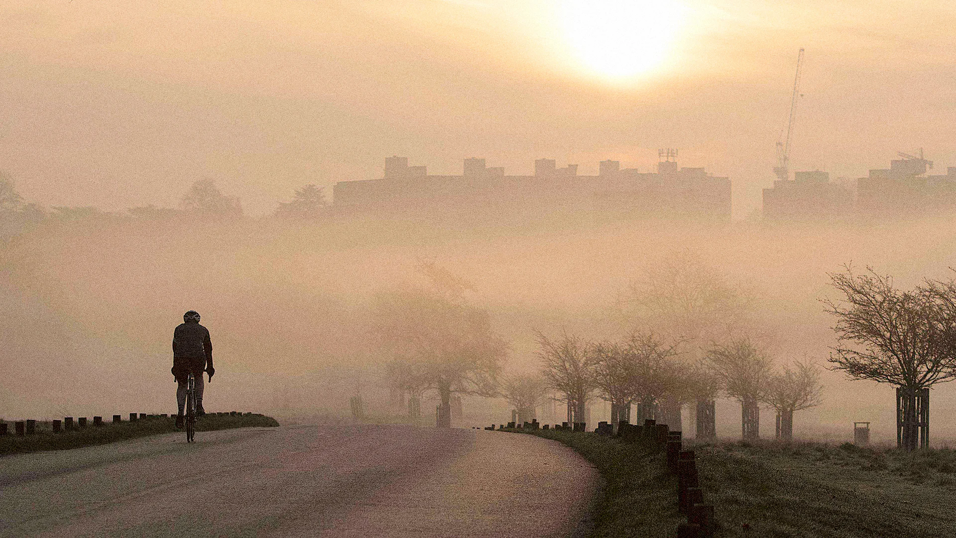 How Fast You Should Be Riding Your Bike To Breathe The Least Pollution ...