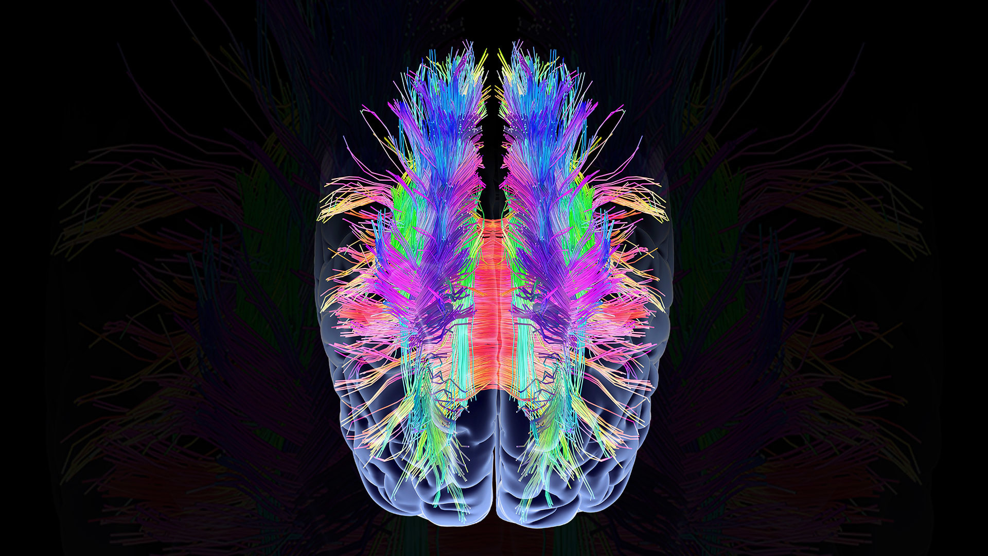 Want To Know What Your Brain Does When It Hears A Question? - Fast Company