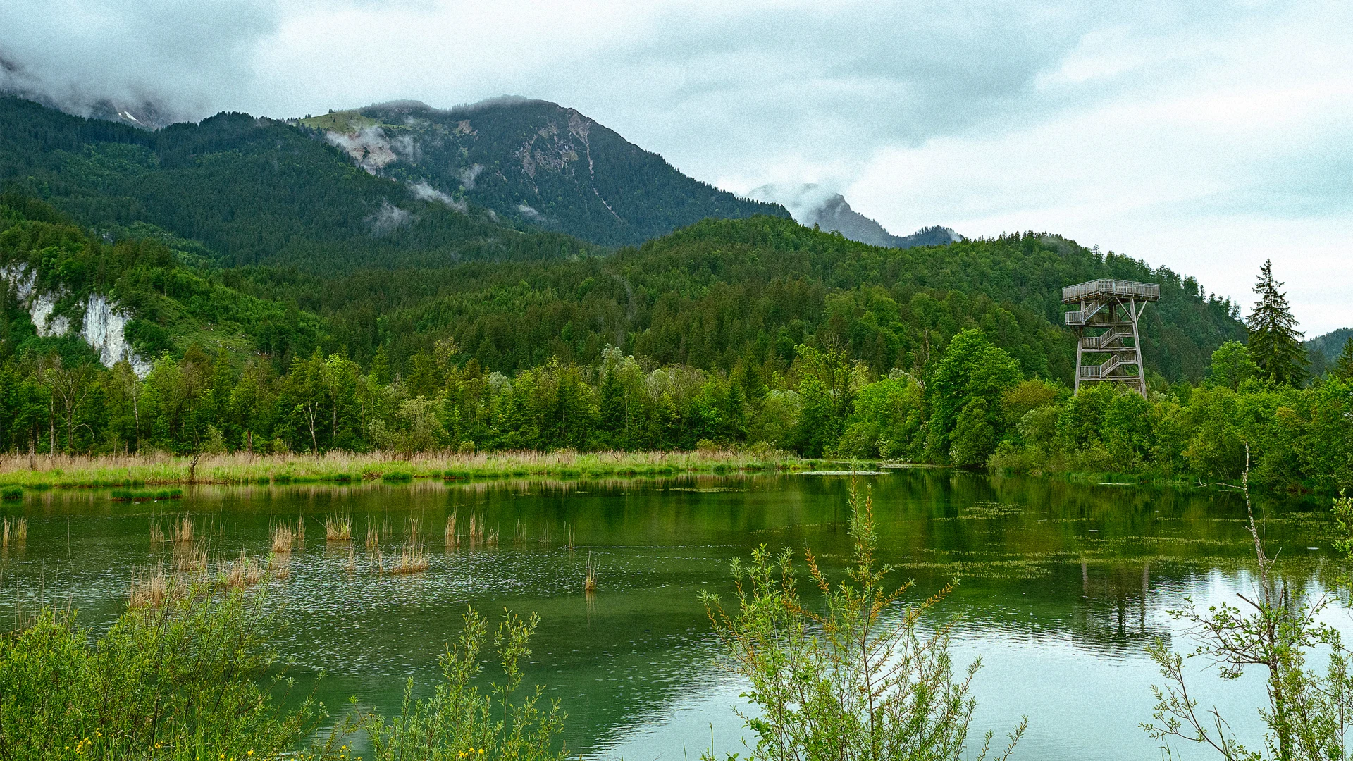 Nature conservation works and is improving, researchers say - Fast Company