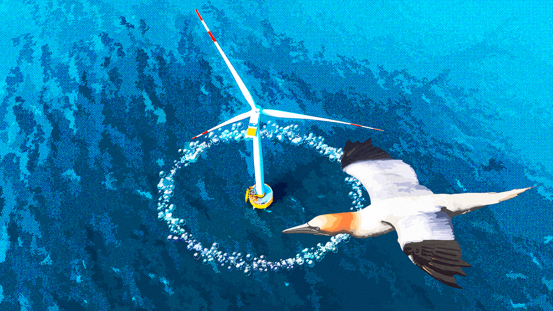 How engineers are designing wildlife-friendly wind turbines - Fast Company