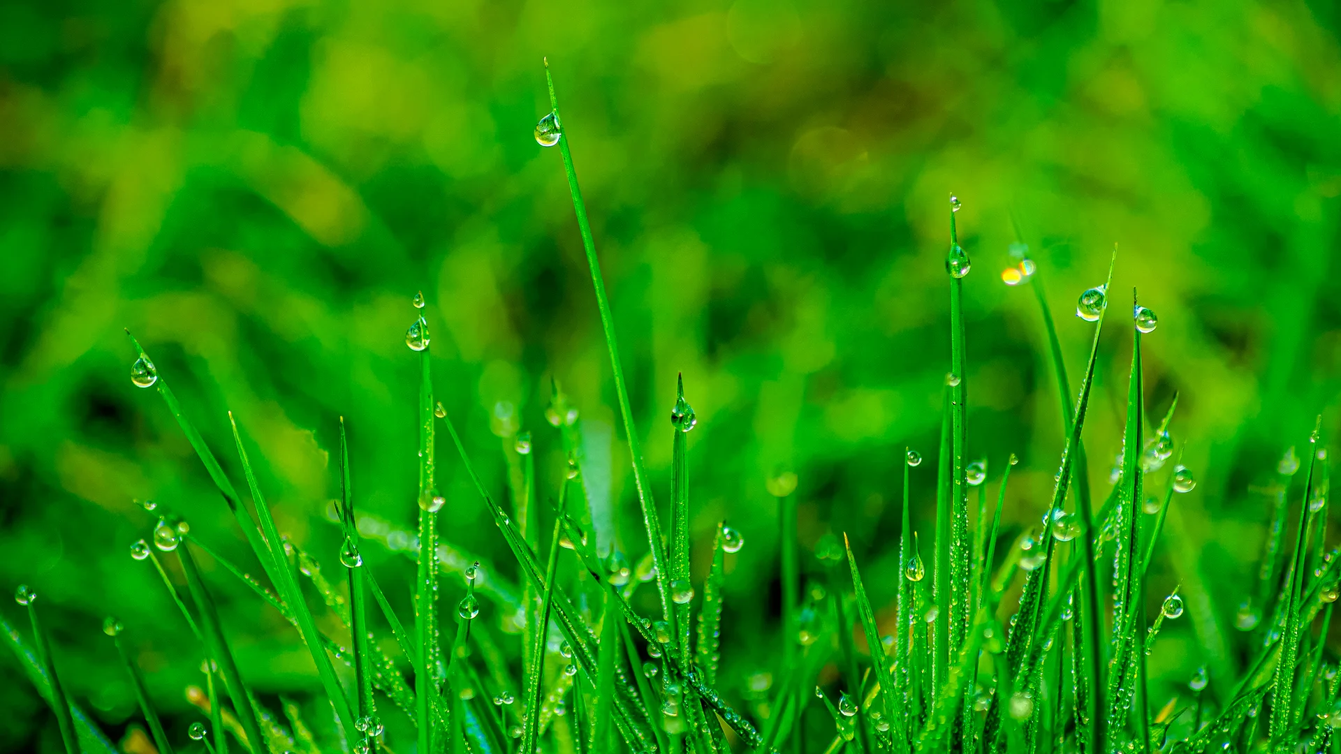 Utah is desperate to conserve water—so one county took a bold approach ...
