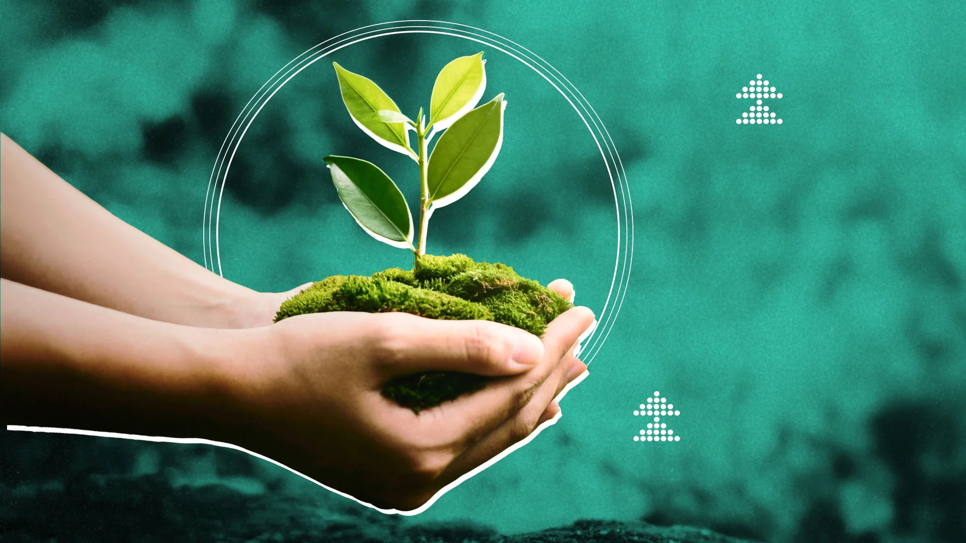 Success takes time: How the art of baby steps is key to exponential impact