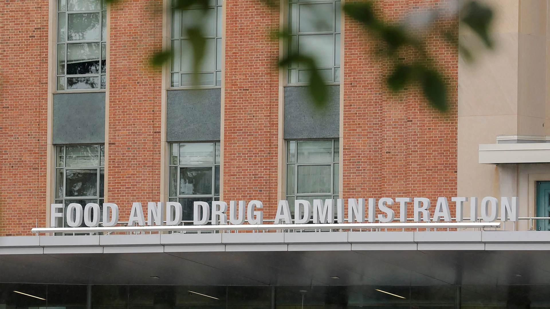 The FDA begins its review of MDMA for PTSD patients - Fast Company