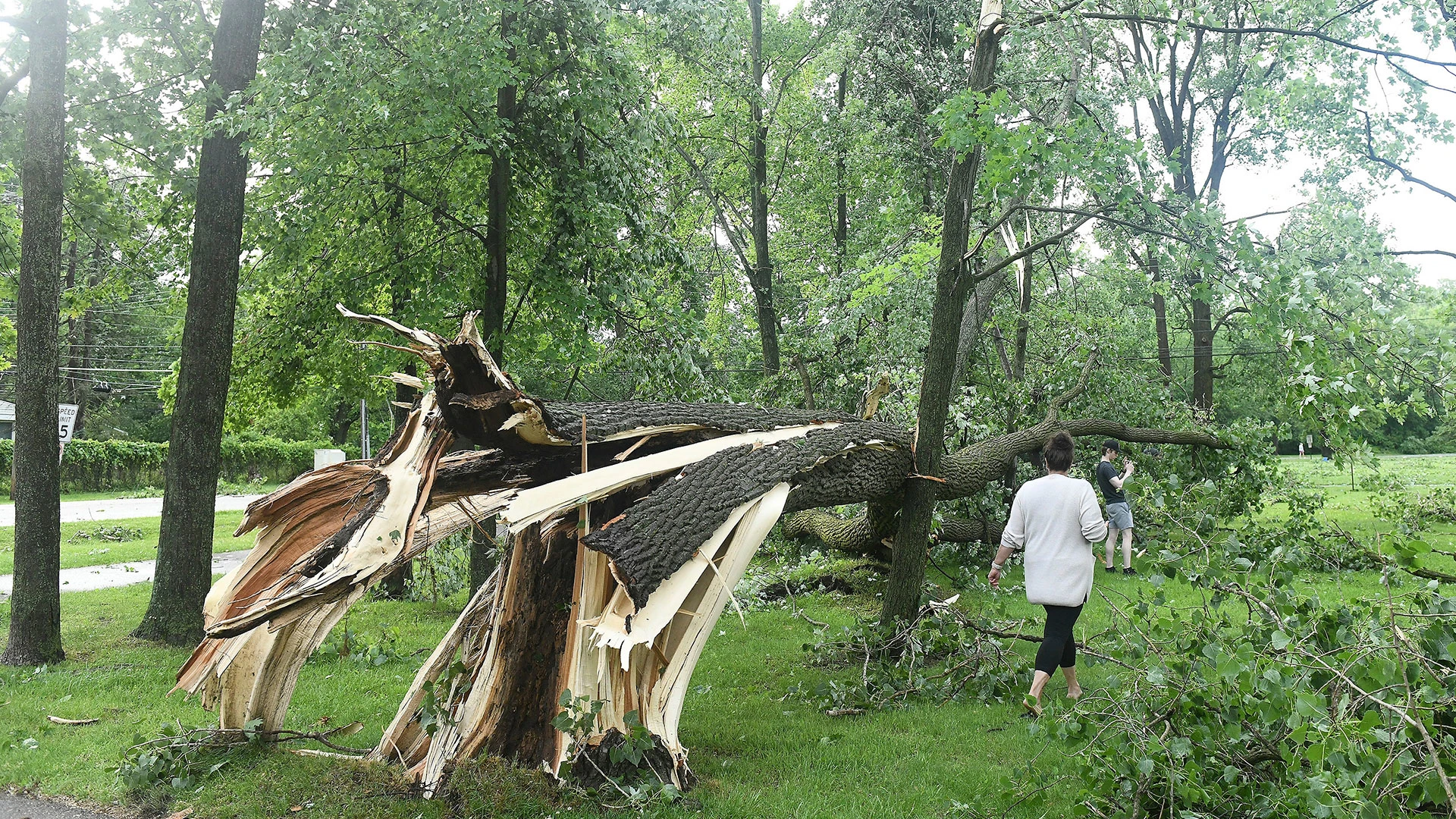Suburban Detroit gets hit by tornado - Fast Company