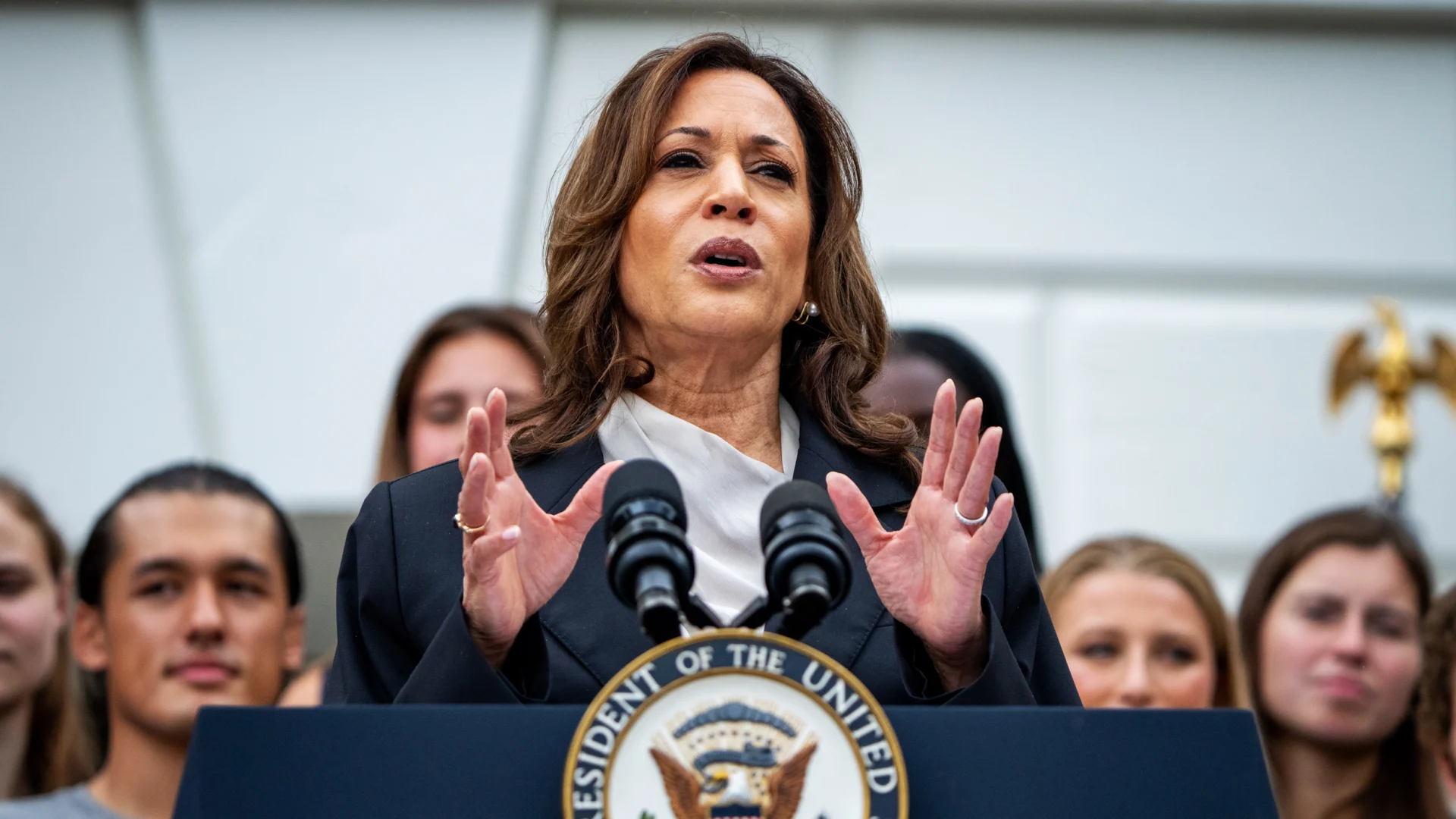 What people mean when they call Kamala Harris a ‘DEI candidate’ - Fast ...
