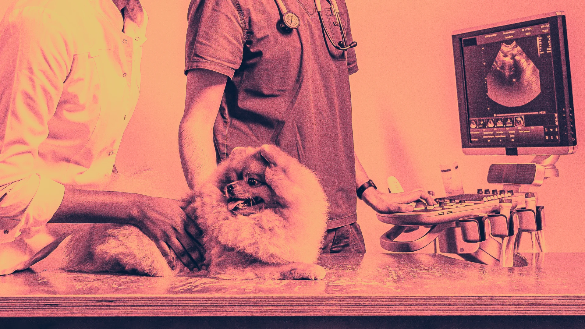 Innovations in animal healthcare benefit humans - Fast Company