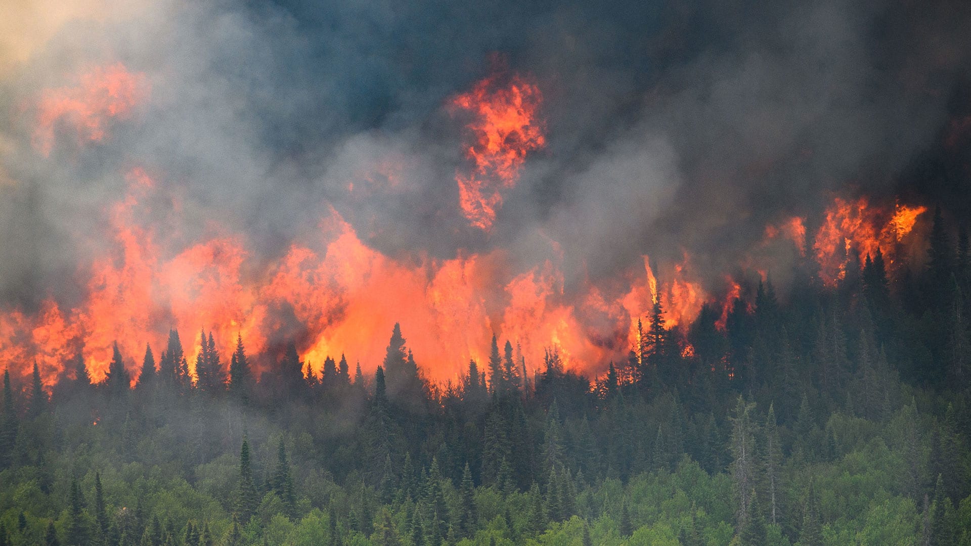 Canada’s wildfires released more CO2 than many nation's emissions - Fast Company