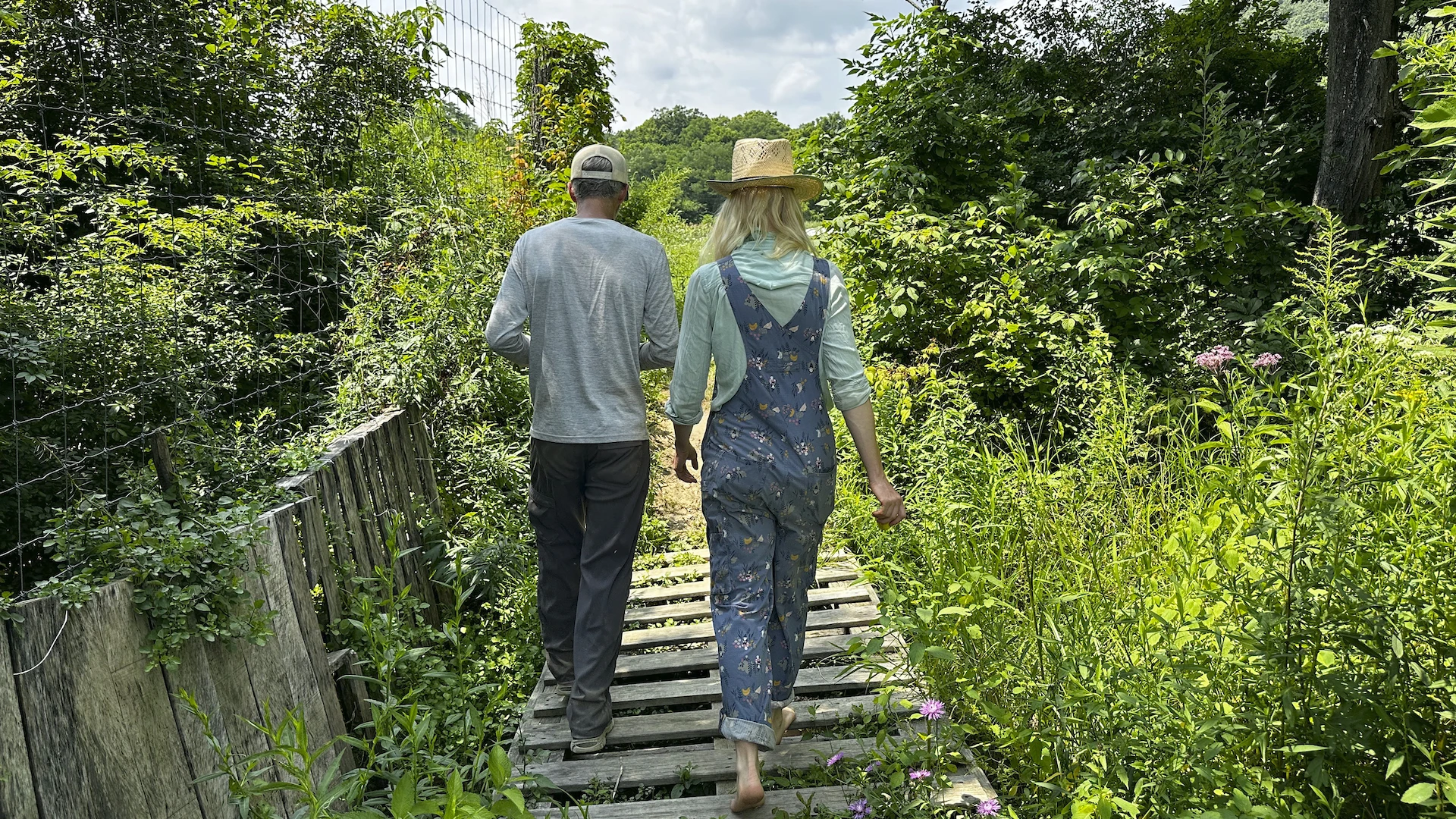 This popular NY-based seed company is ending sales and giving seeds ...