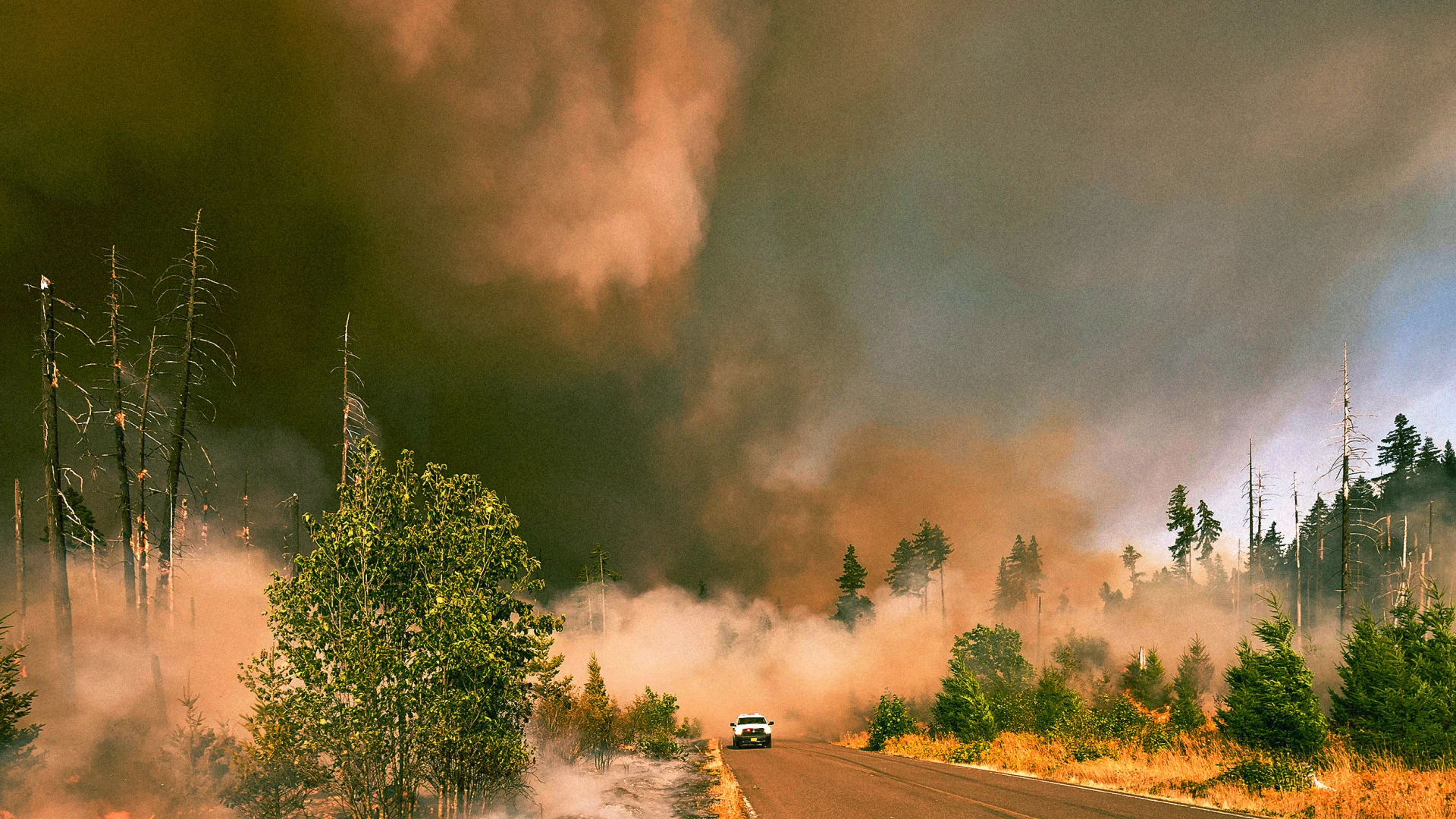 Wildfires can create their own weather. Here's how - Fast Company