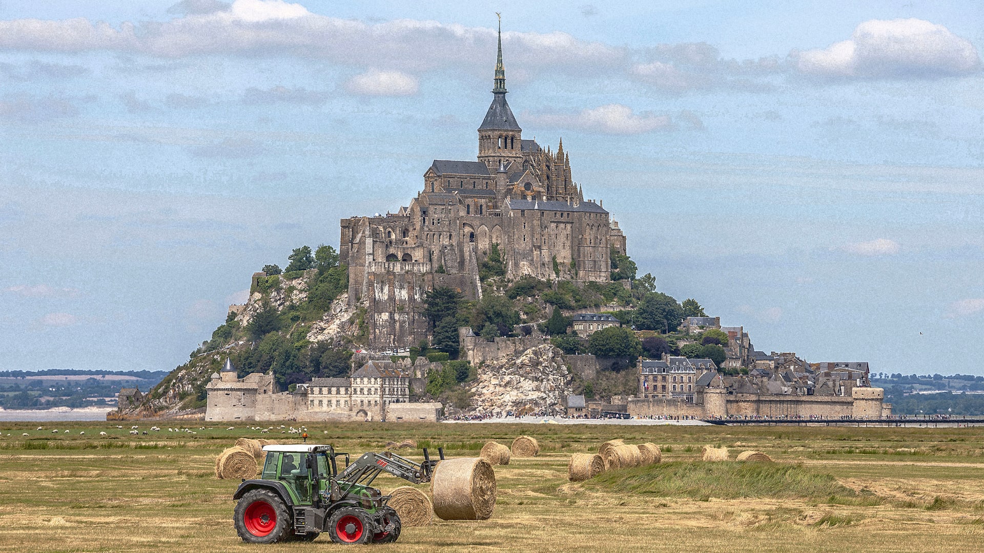 The ancient grass that could become a bumper crop—and stop coastal ...