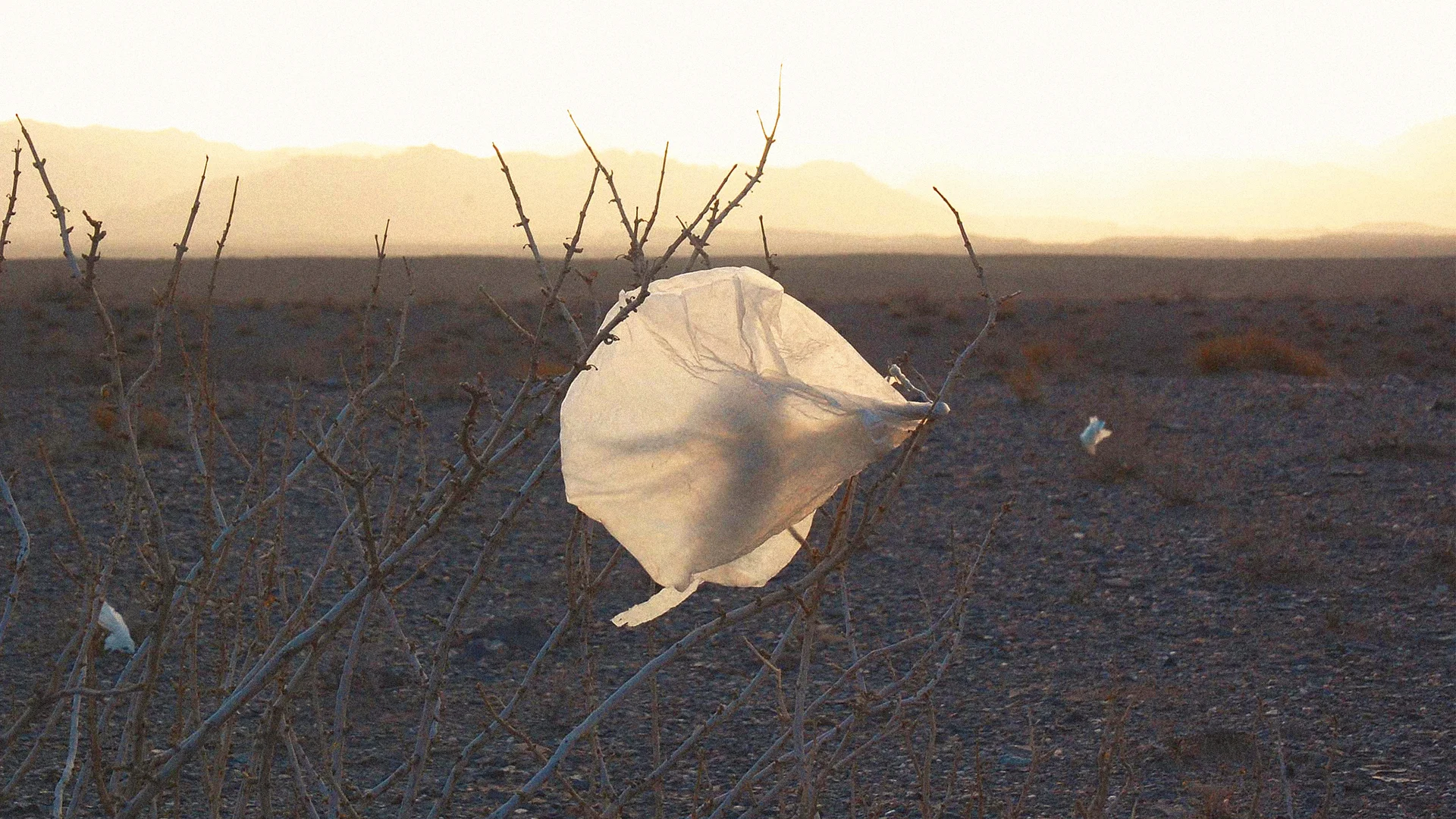 Big Plastic wants a 'recyclable' label on items that end up in ...