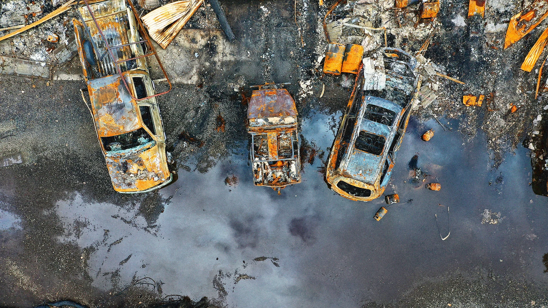 How wildfires are impacting water quality, aquatic life - Fast Company