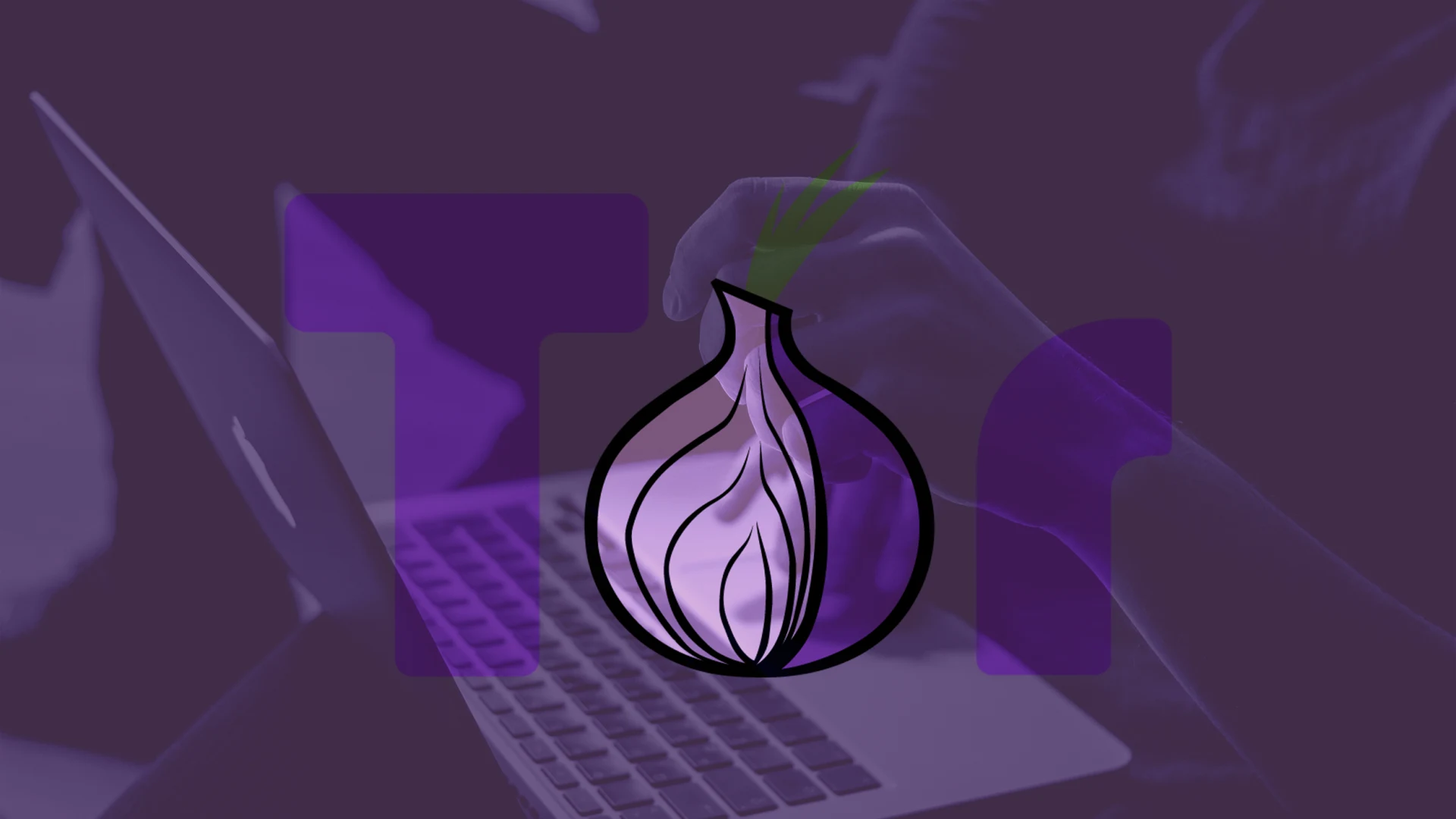 Tor is more popular than ever in our security-minded world - Fast Company