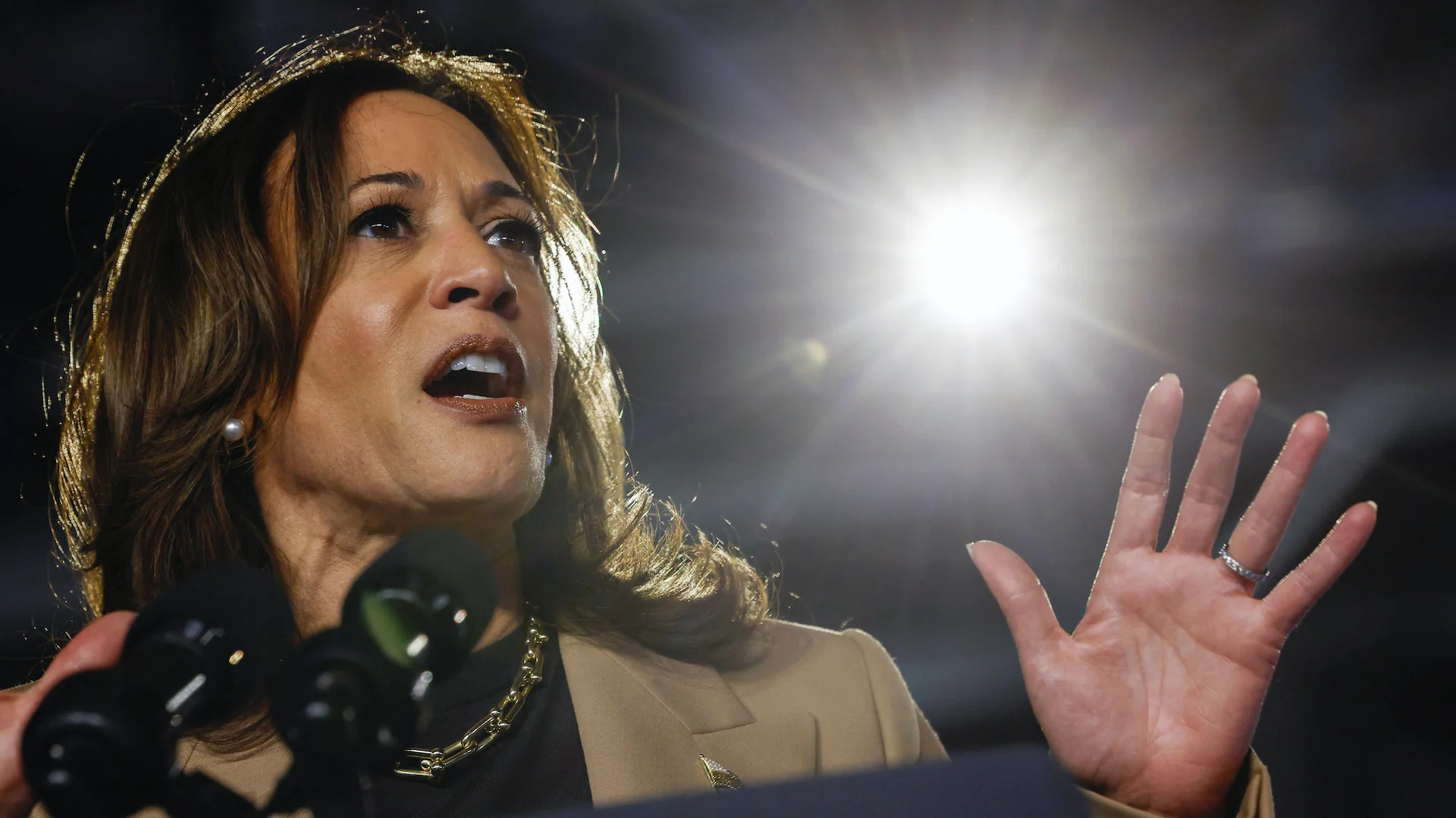 Harris targets Black male voters in new economic proposals - Fast Company