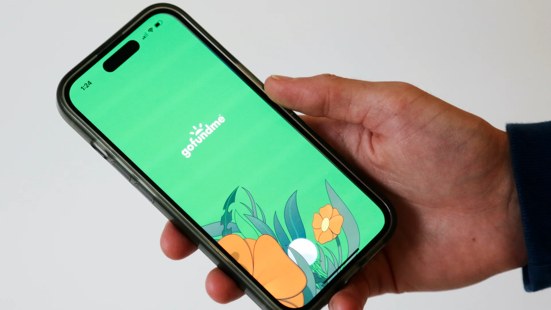 GoFundMe partners with Meta to target Gen Z fundraising on social media ...