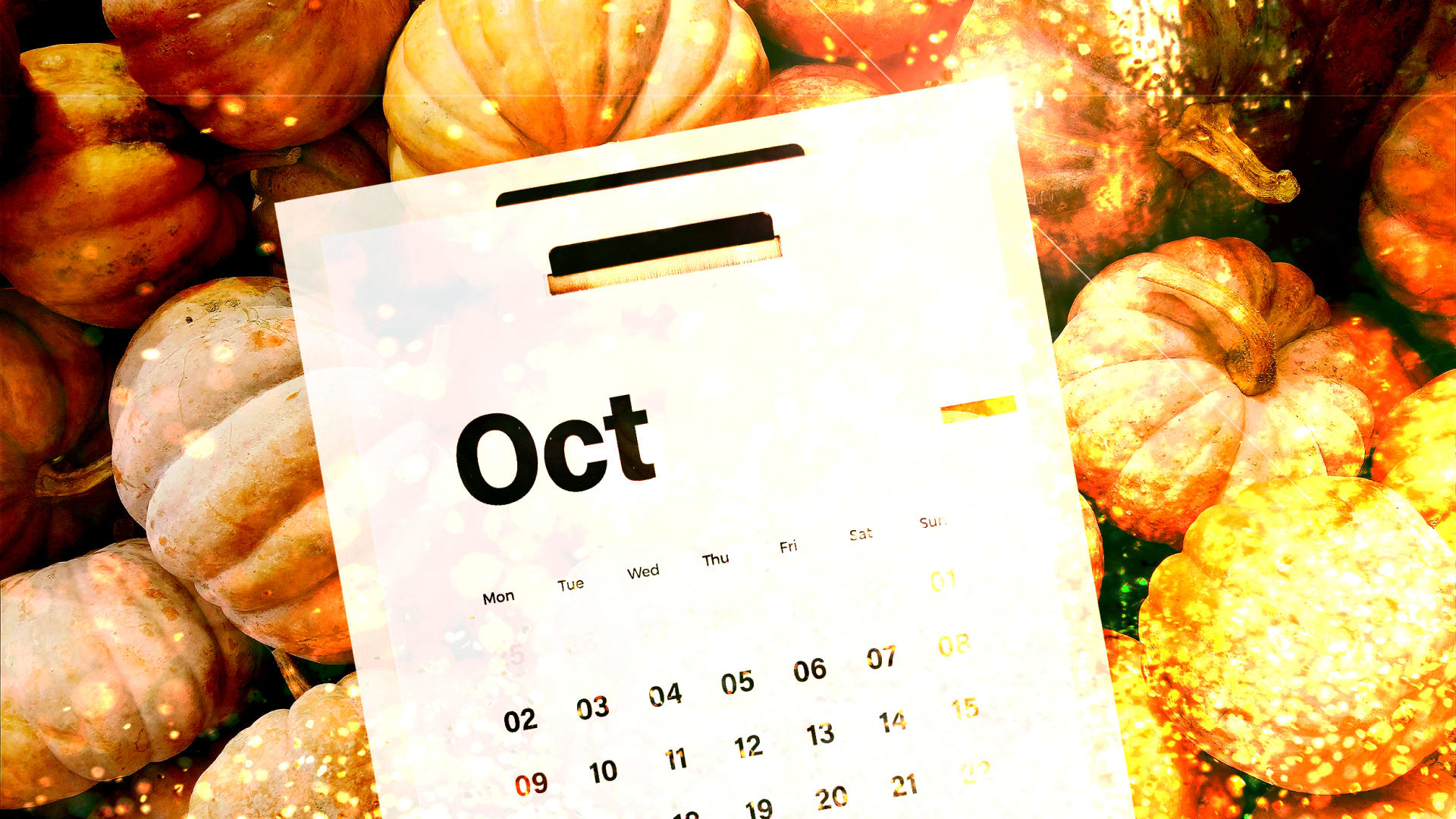 ‘Plot twists’ and ‘new opportunities’: Why TikTok is buzzing about the ...