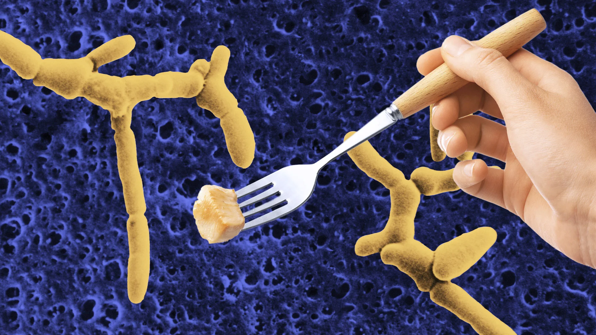 BrucePac listeria recall update: Trader Joe's, Kroger, full product ...