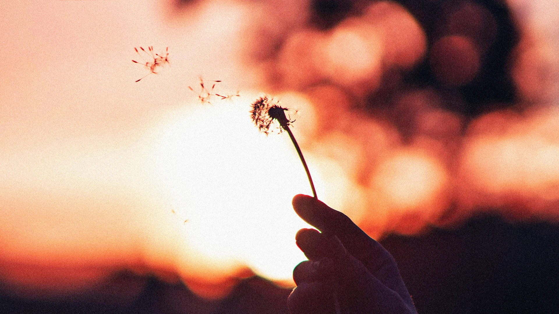 How to make a wish list to build the life you want- Fast Company How to make a wish list to build the life you want- Fast Company