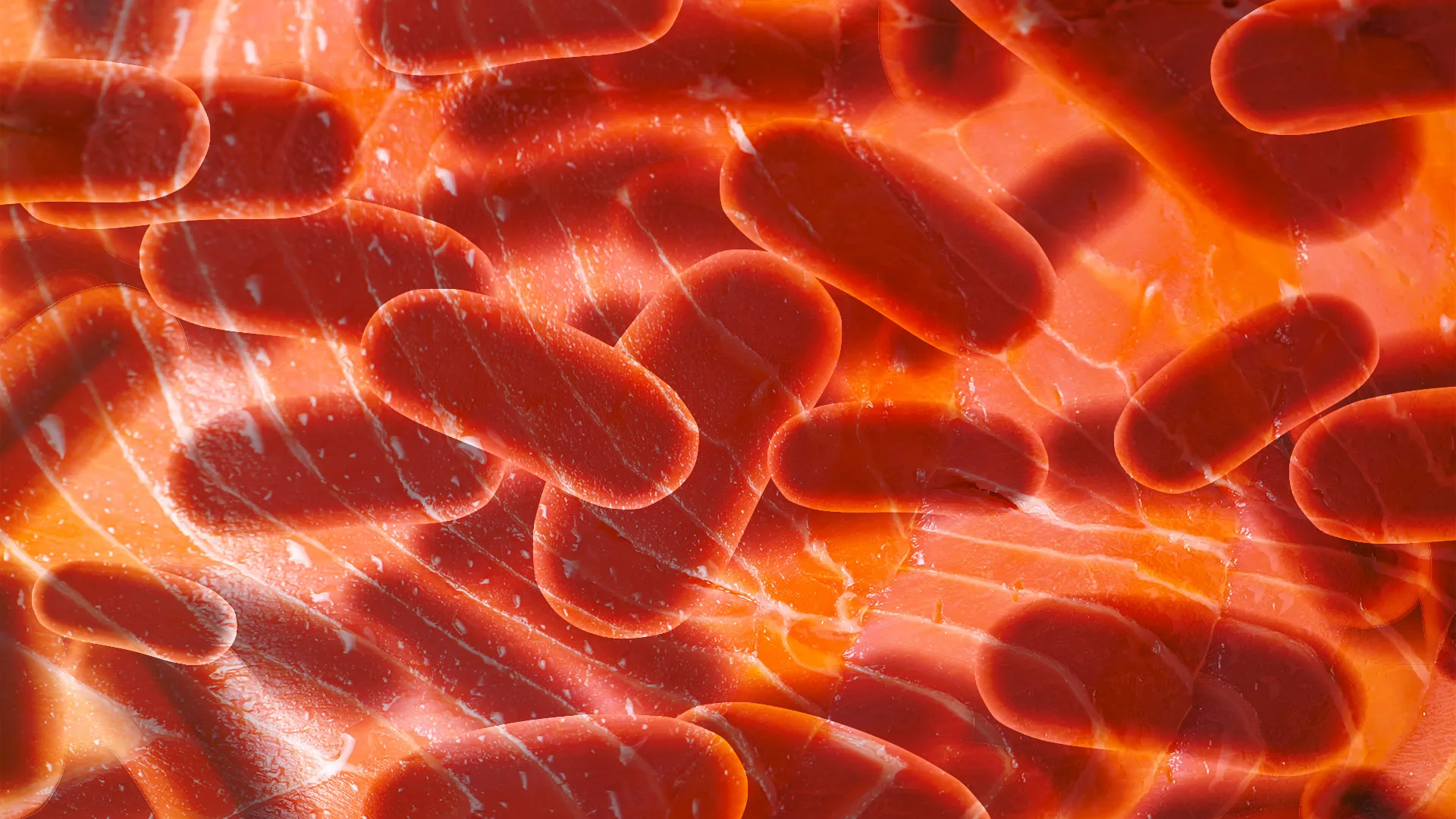 Why Listeria recalls are rising: Latest hits Costco salmon - Fast Company