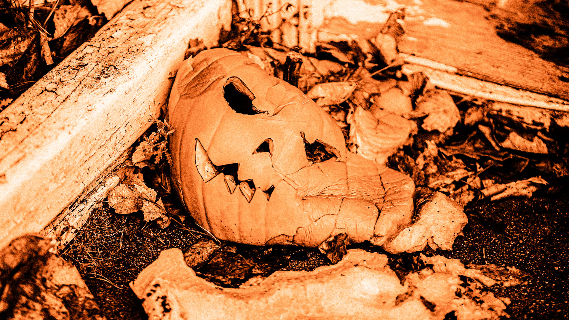 How to keep your jack-o'-lantern from rotting before Halloween - Fast ...