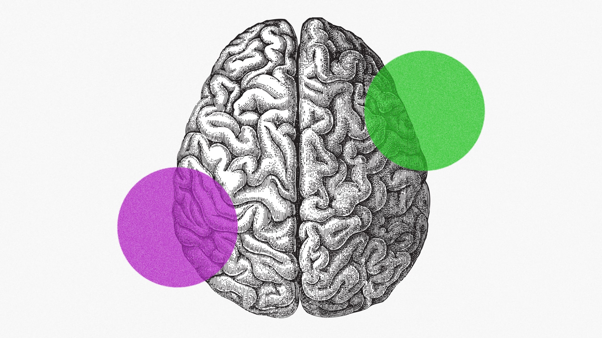 How to use both sides of your brain to achieve success- Fast Company
