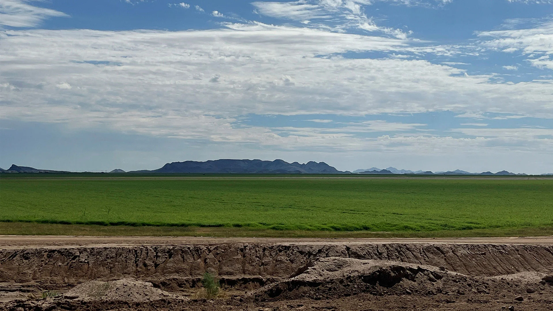 Why Arizona’s AG is suing Saudi-backed farm Fondomonte - Fast Company