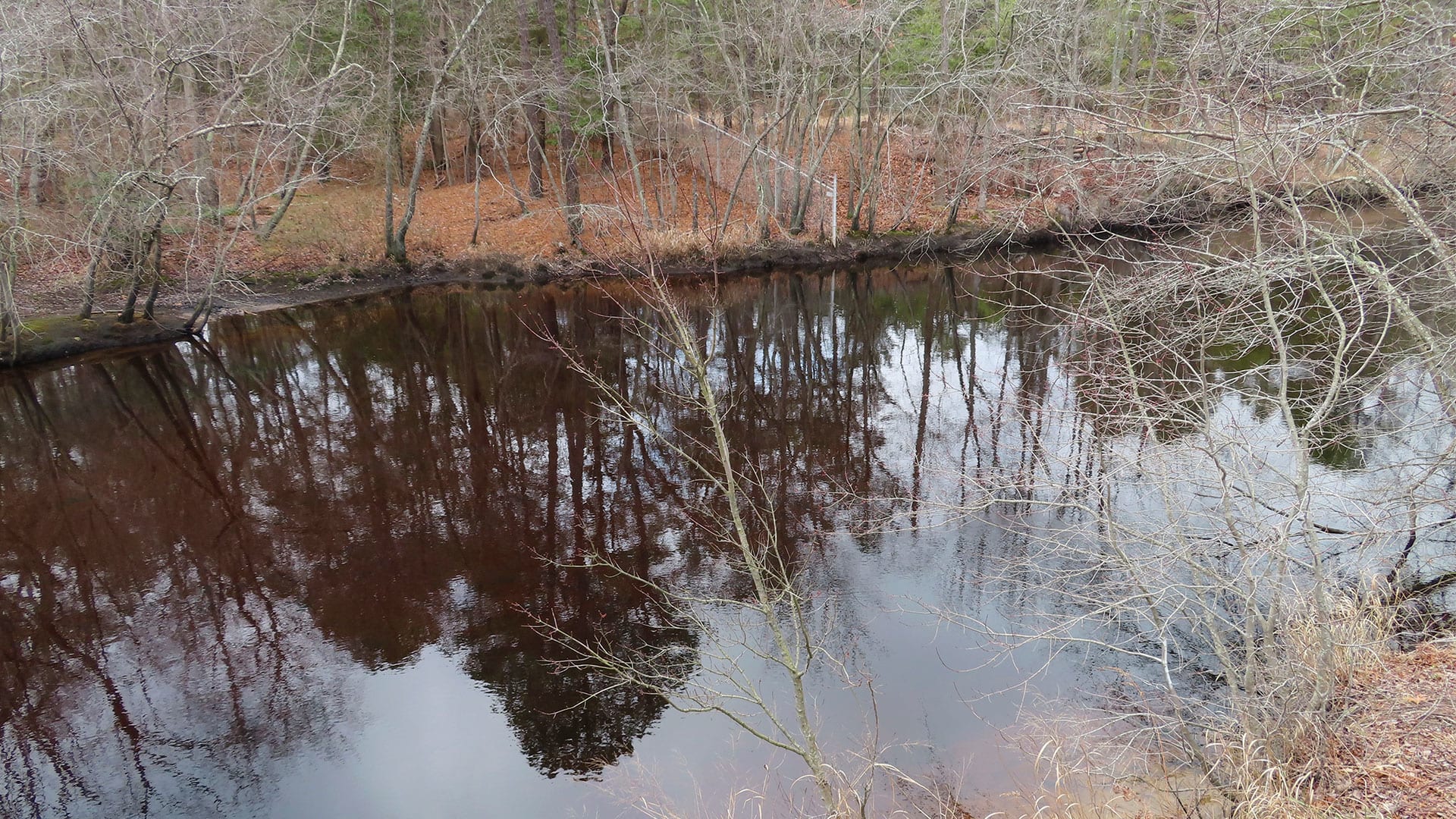 New Jersey town is suing to overturn toxic waste settlement - Fast Company