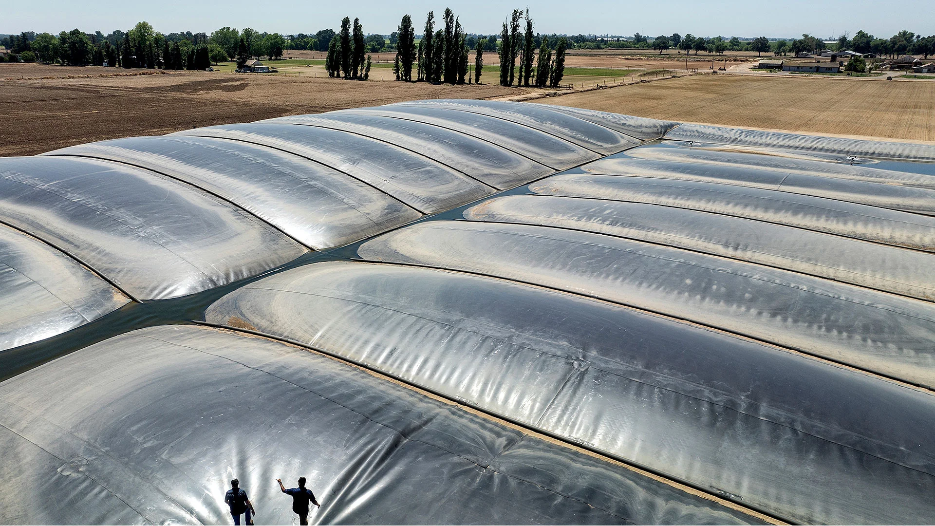 Why environmental groups are suing California over biofuels - Fast Company