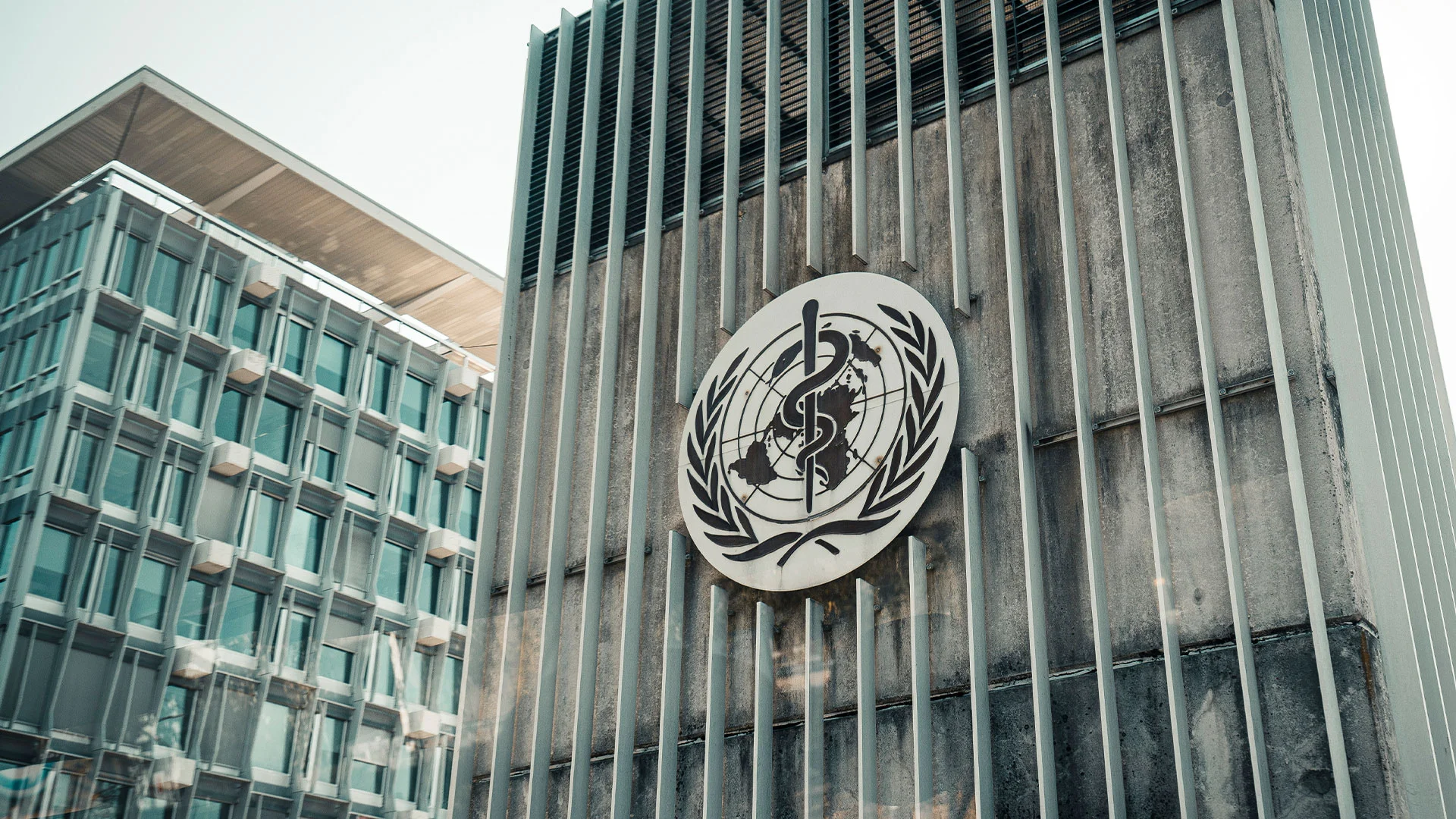 Congo mystery disease update: symptoms, deaths, WHO response - Fast Company