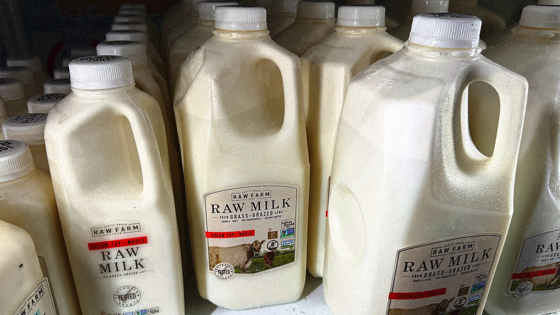 Bird flu virus in raw milk: What you need to know about pasteurization ...