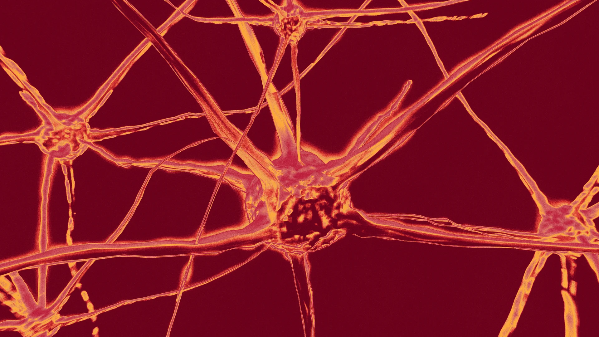 Adult brains can grow new neurons that help them learn by listening ...