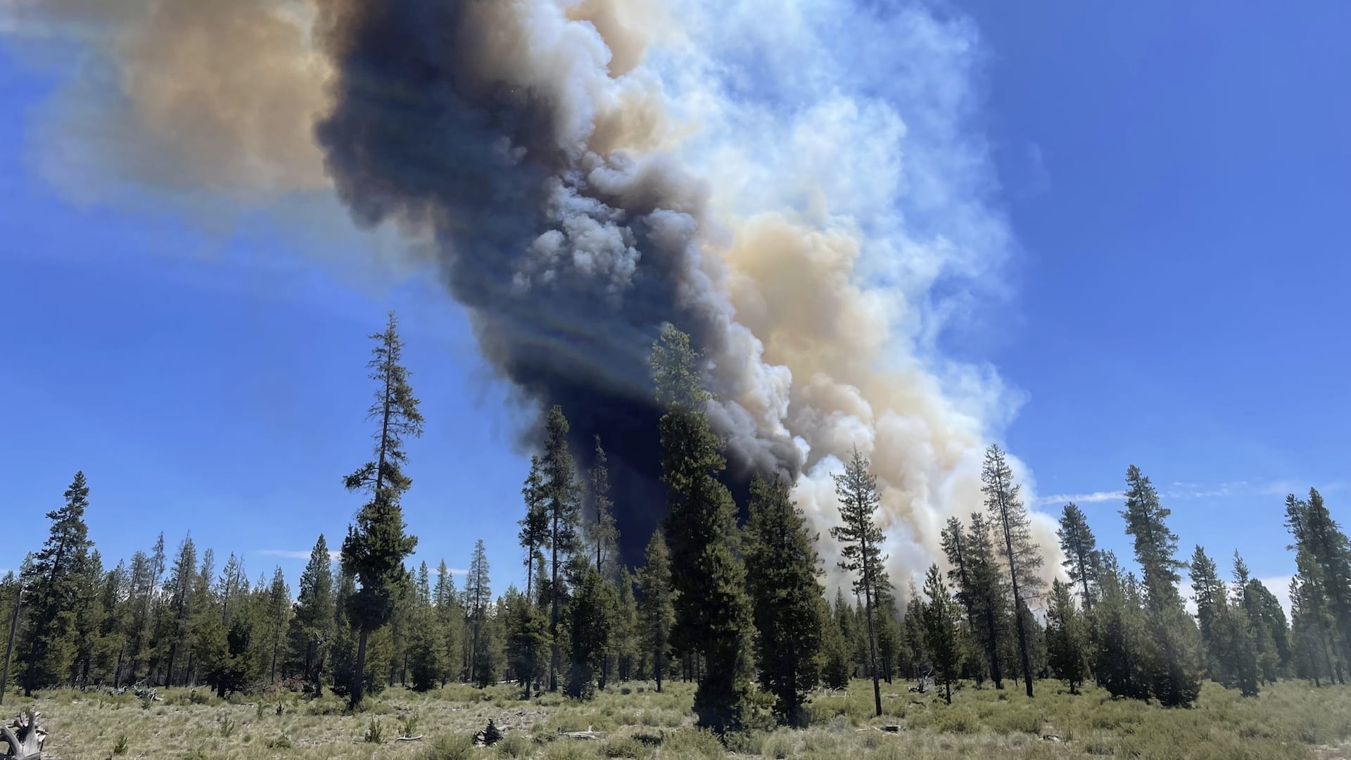 Oregon issues new 'wildfire hazard maps' for homeowners living in high ...