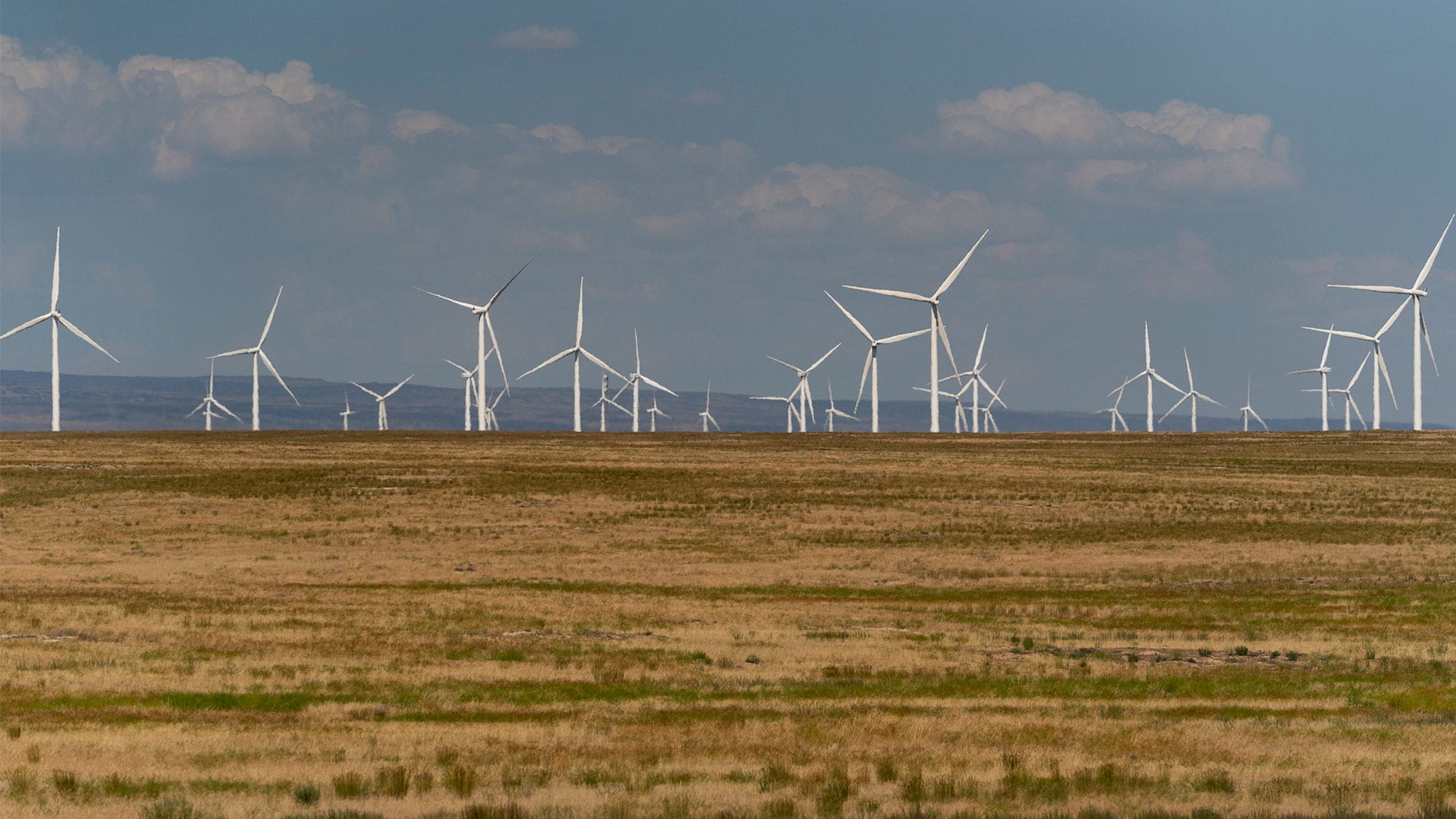 Trumps orders temporary hold on U.S. wind energy projects - Fast Company