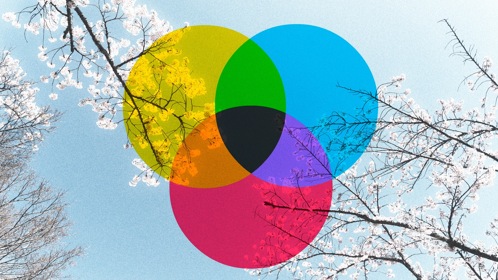 How to use the Japanese secret to a happy life for your career - Fast ...