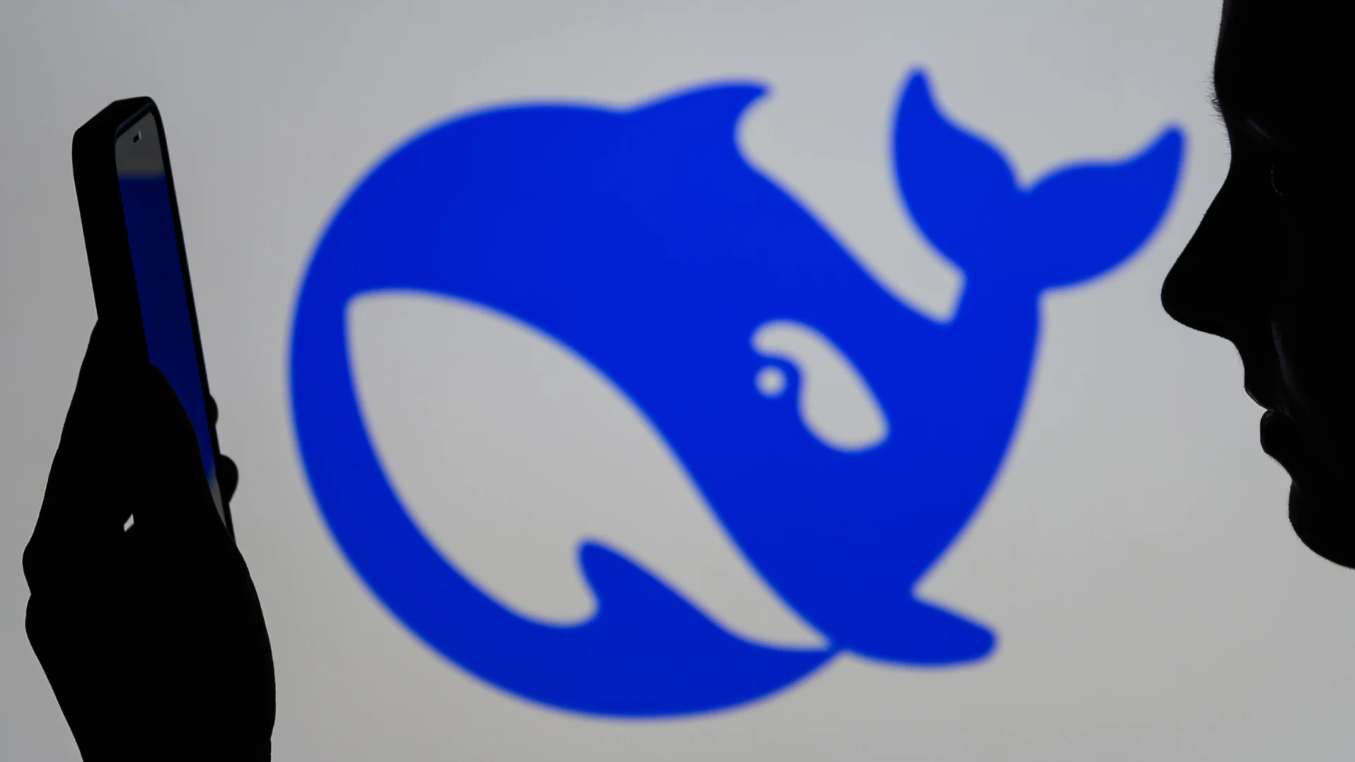 DeepSeek has called into question Big AI’s trillion-dollar assumption ...