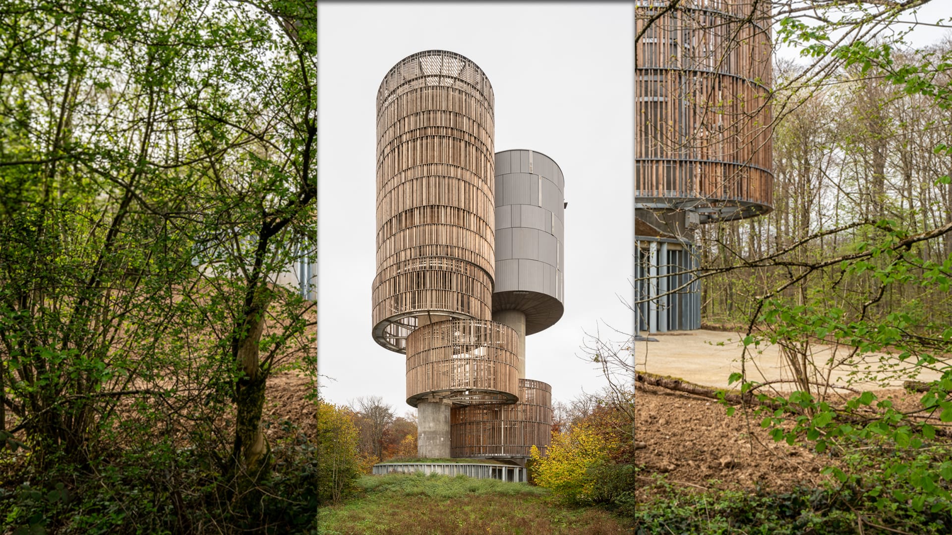 This ingenious water tower doubles as a habitat for birds and bats ...