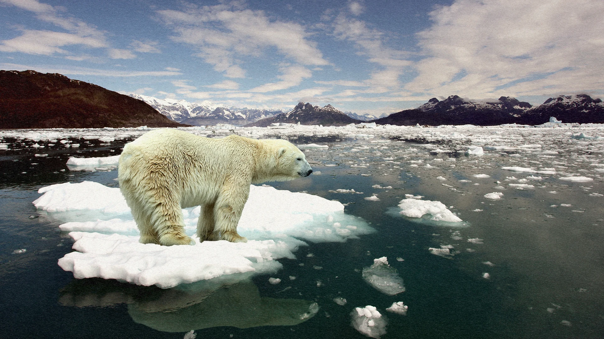 What to know about 5 key climate cases that could be decided in 2025 ...