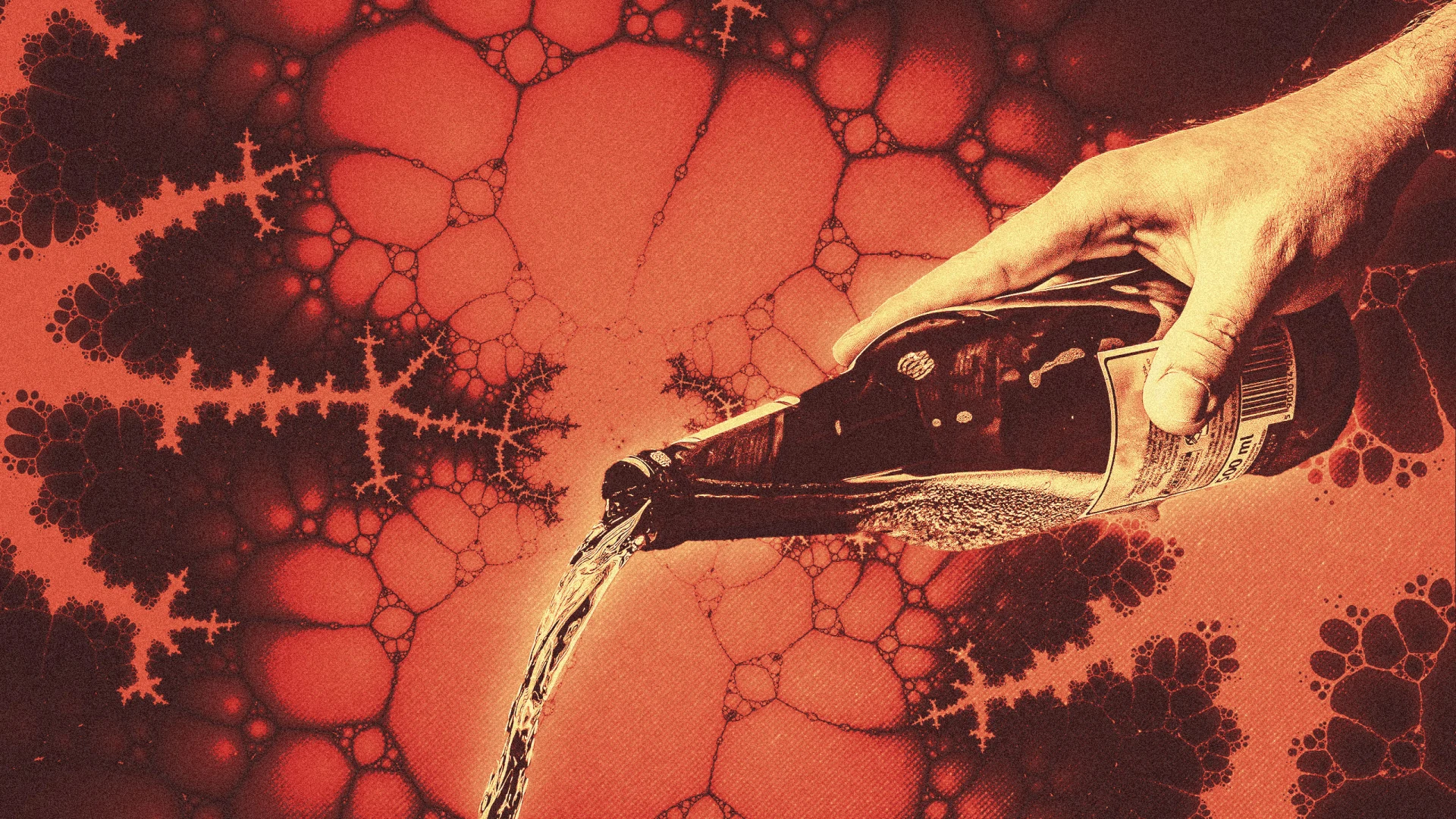 Alcohol increases your risk for 7 cancers: US surgeon general - Fast ...