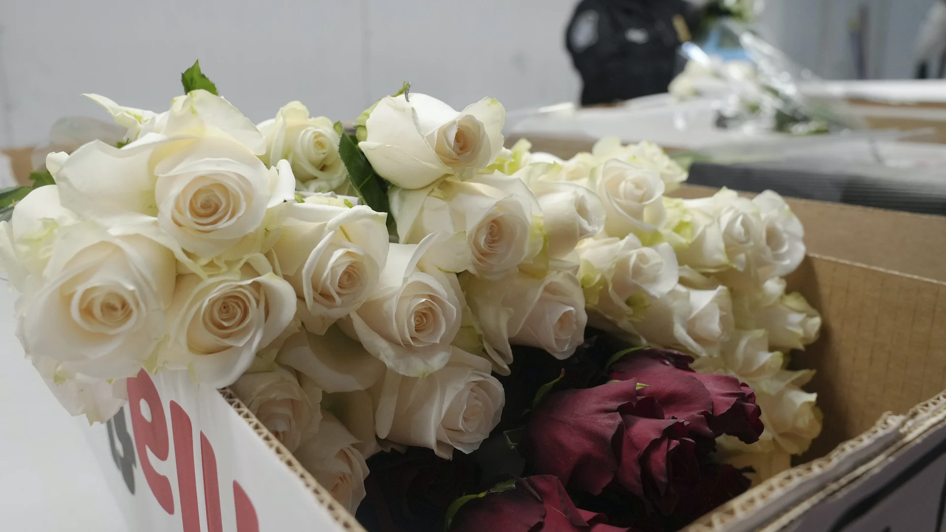 940 million flowers are traveling through Miami's airport this ...