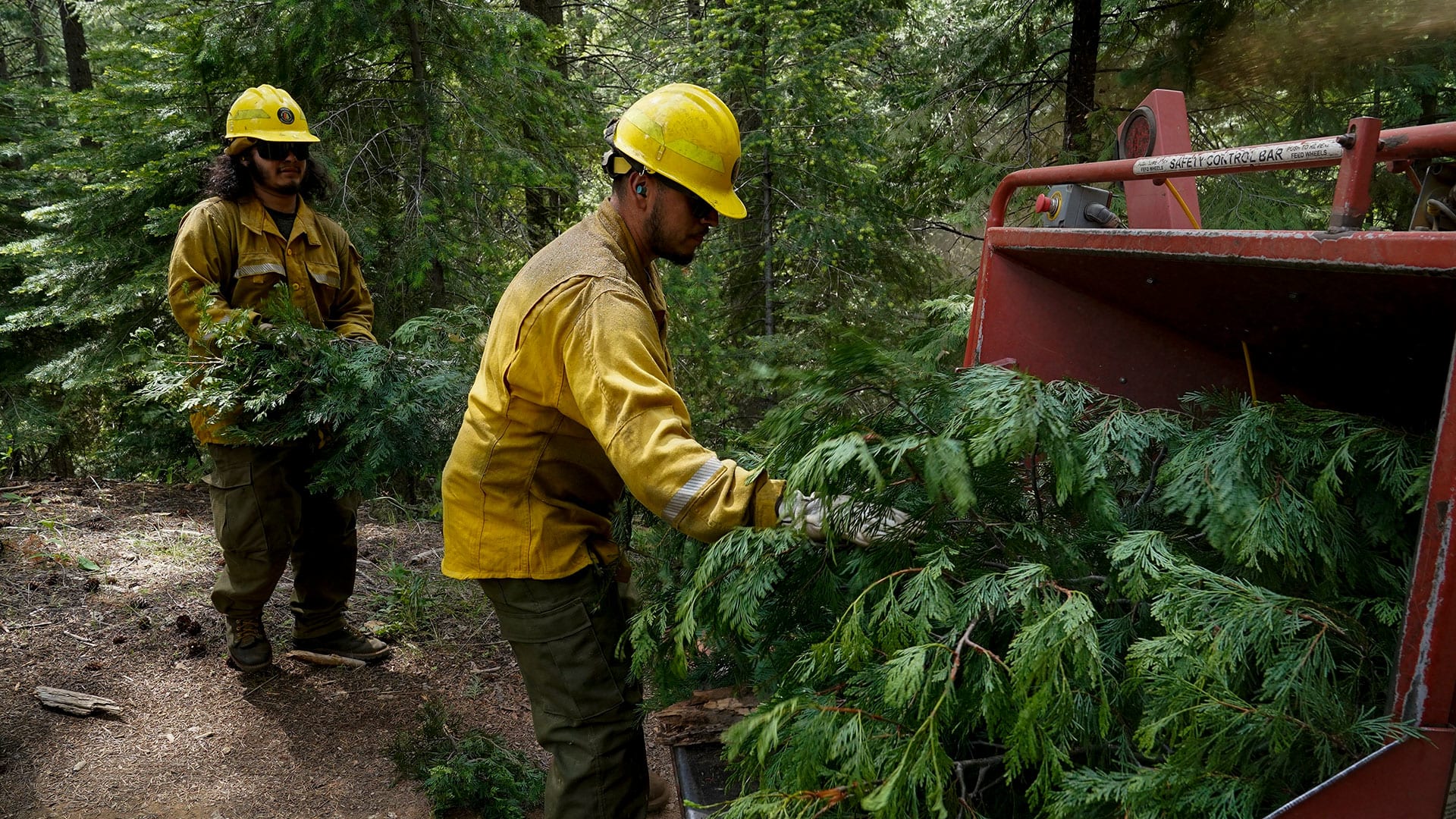 Forest Service workers warn mass layoffs will worsen U.S. wildfires ...