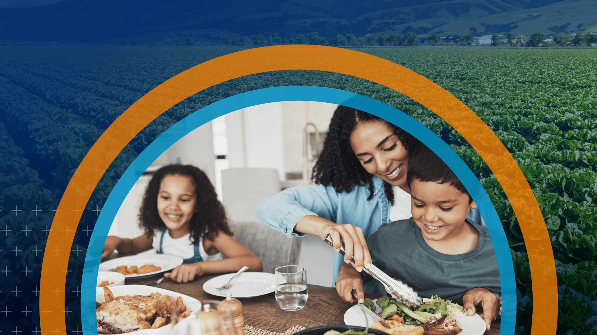 What the FDA’s updated rules mean for securing America’s food chain—and ...