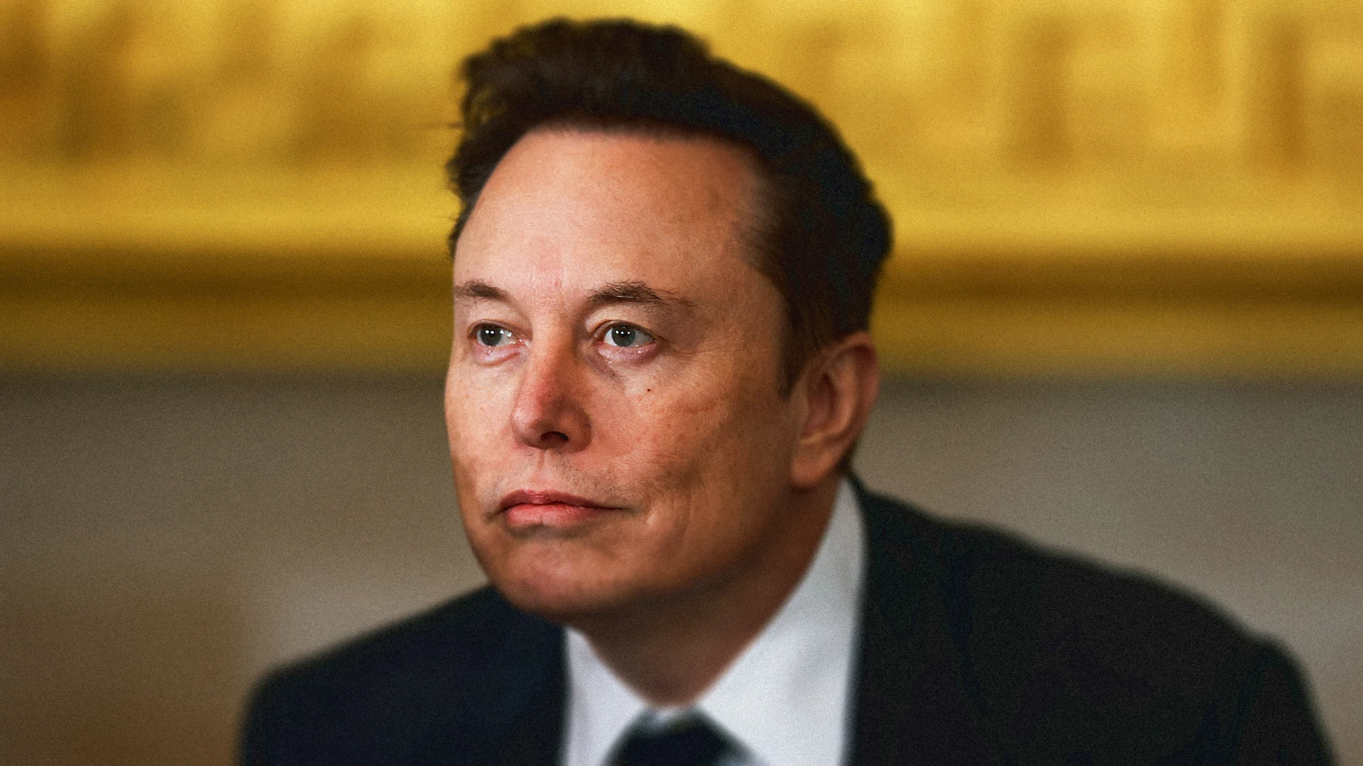 What will it take to stop Elon Musk and DOGE? - Fast Company