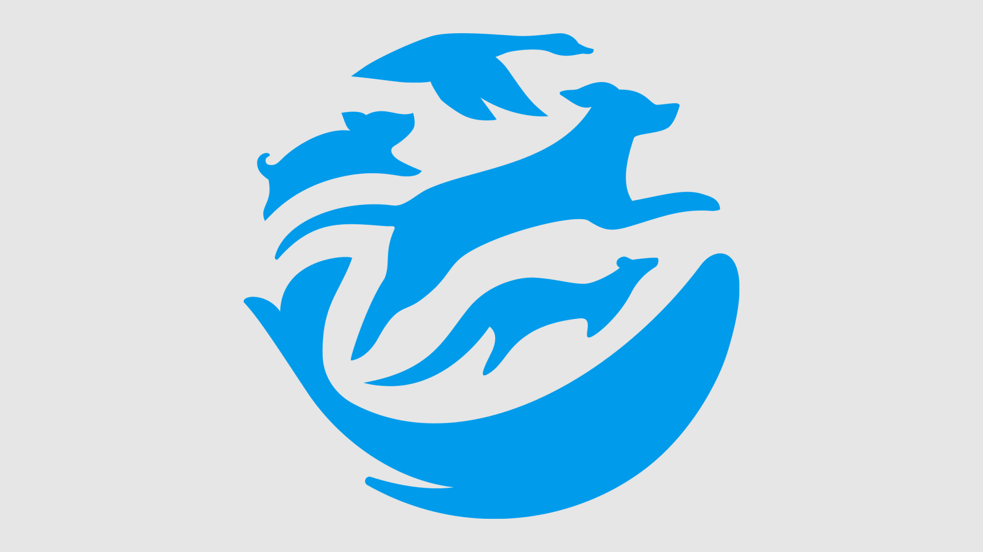 The Humane Society rebrands as the Humane World for Animals - Fast Company