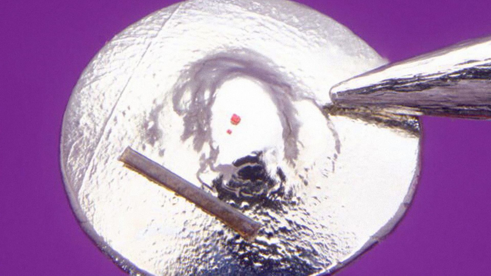 This artist created the world’s tiniest Lego brick - Fast Company