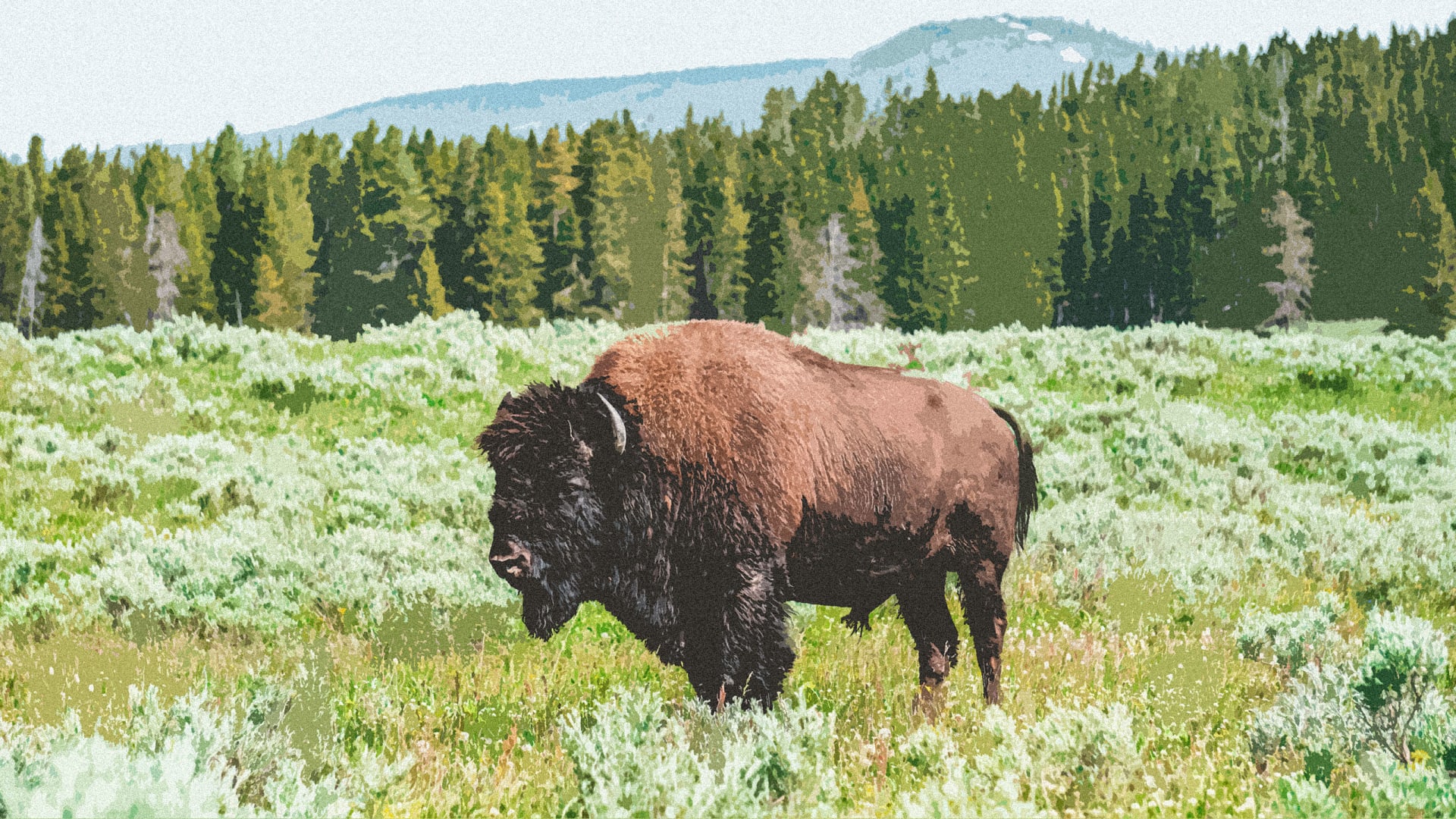 This Kentucky land was devastated by strip mining—now, activists want ...