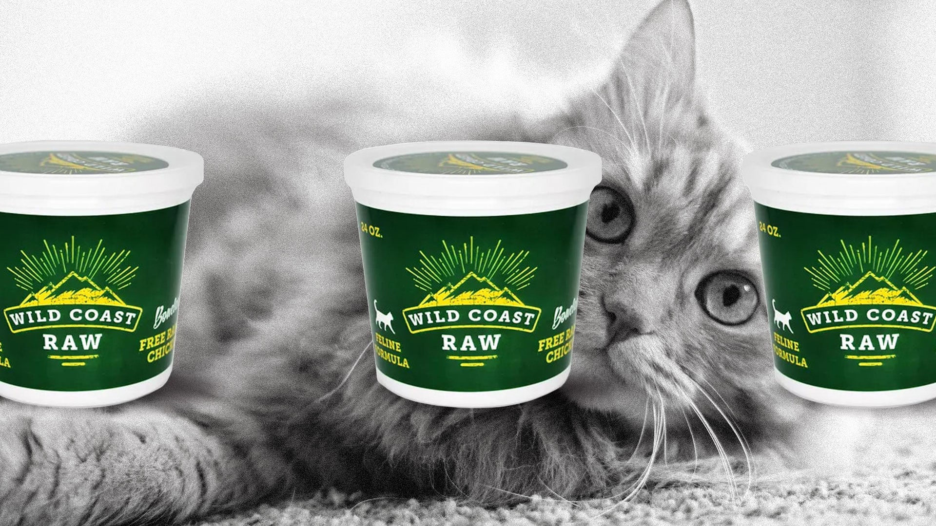 Bird flu cat food recall: list of products, H5N1 symptoms, FDA notice ...