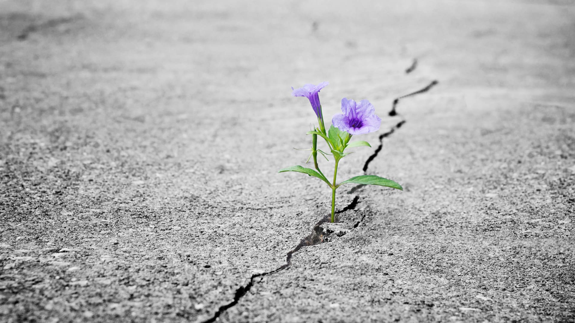 How to express vulnerability at work - Fast Company