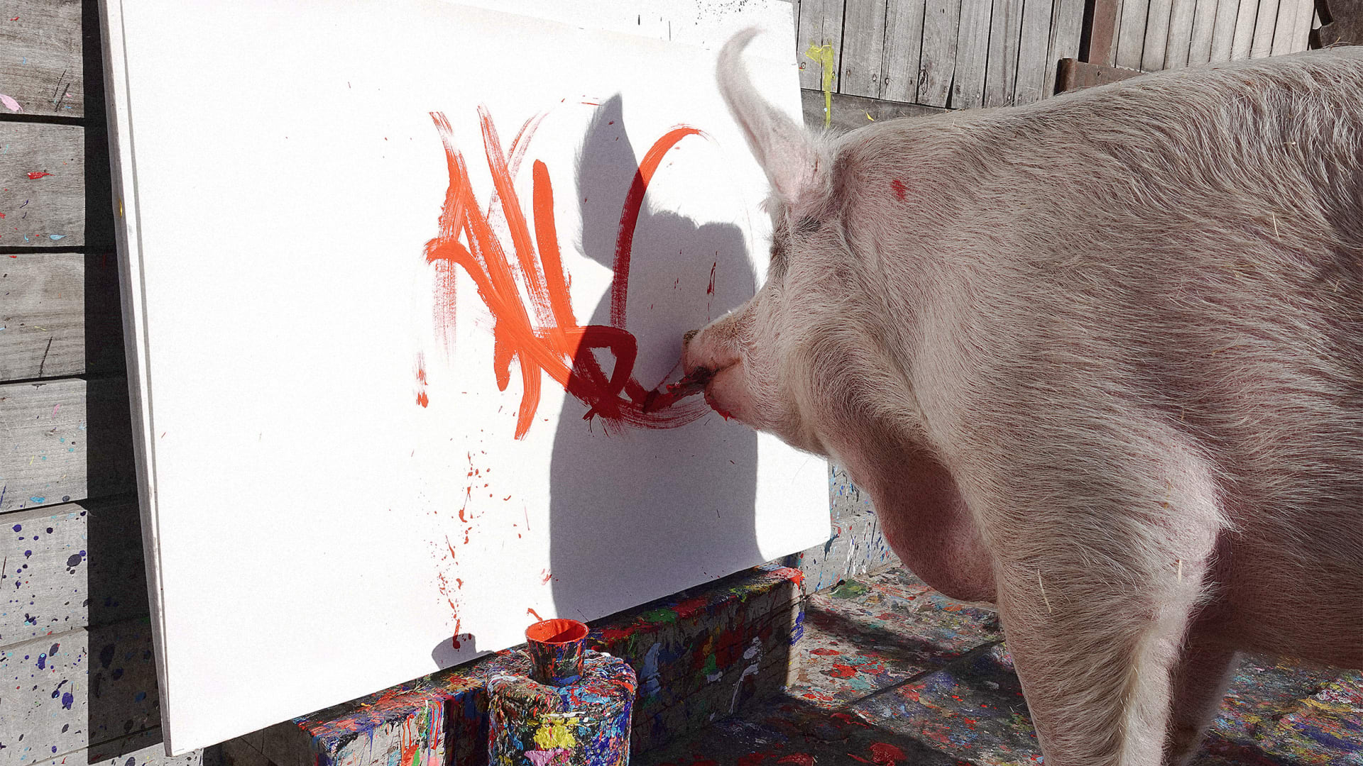 Do animals make art? Exploring the blurred line between instinct and ...