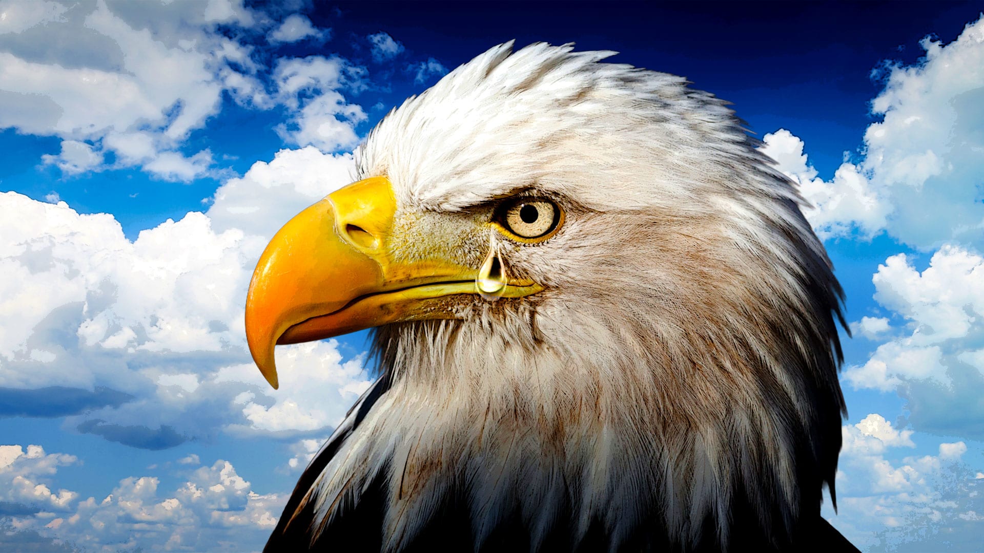 Happiness in America falls in world ranking; Gen Z especially bleak ...